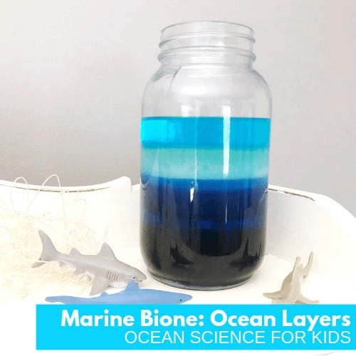 Layers Of The Ocean For Kids - Little Bins for Little Hands