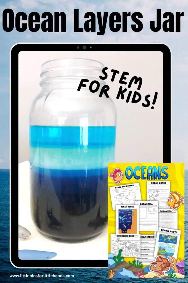 Layers Of The Ocean For Kids - Little Bins for Little Hands