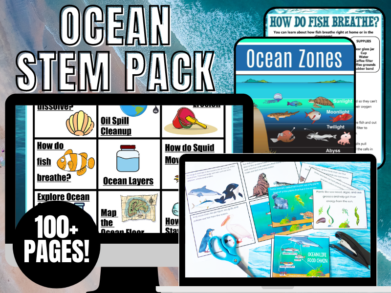 Ocean Sensory Bin - Little Bins for Little Hands