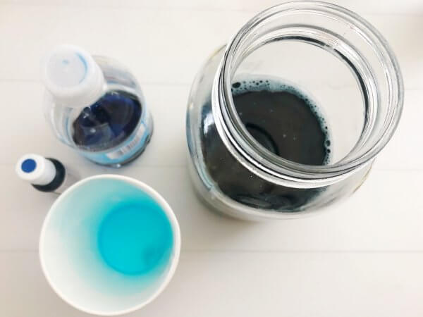 Layers Of The Ocean For Kids - Little Bins for Little Hands