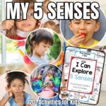 5 Senses Flip Book Activity - Little Bins for Little Hands