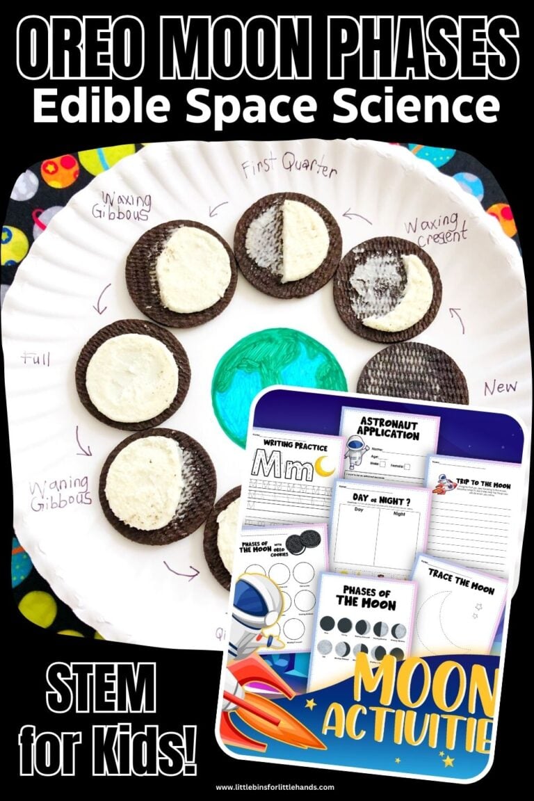 Oreo Moon Phases - Little Bins for Little Hands