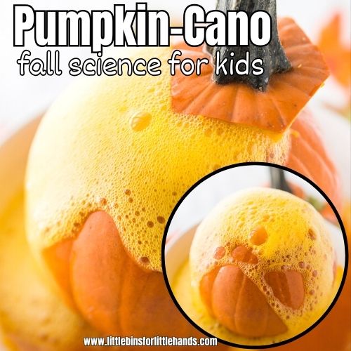 Pumpkin Volcano Experiment (Easy Fall Science for Kids)