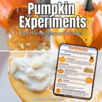 Best Pumpkin Books for Preschool & Kindergarten STEM Activities