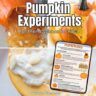 Fall Weather Science Projects for Kids | Hands-On Experiments