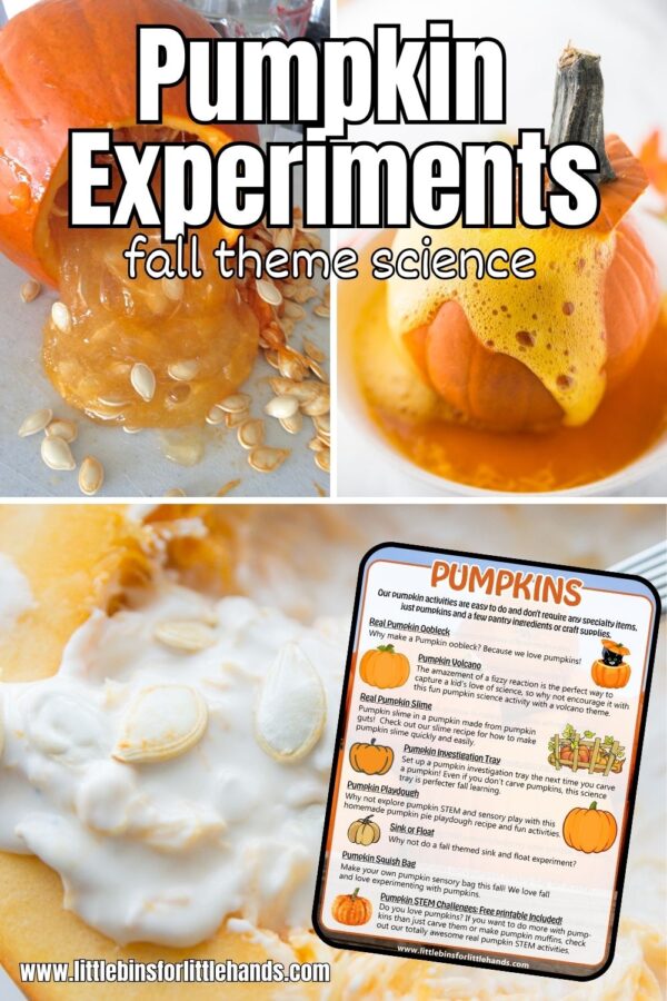 Pumpkin Science Experiments - Little Bins for Little Hands