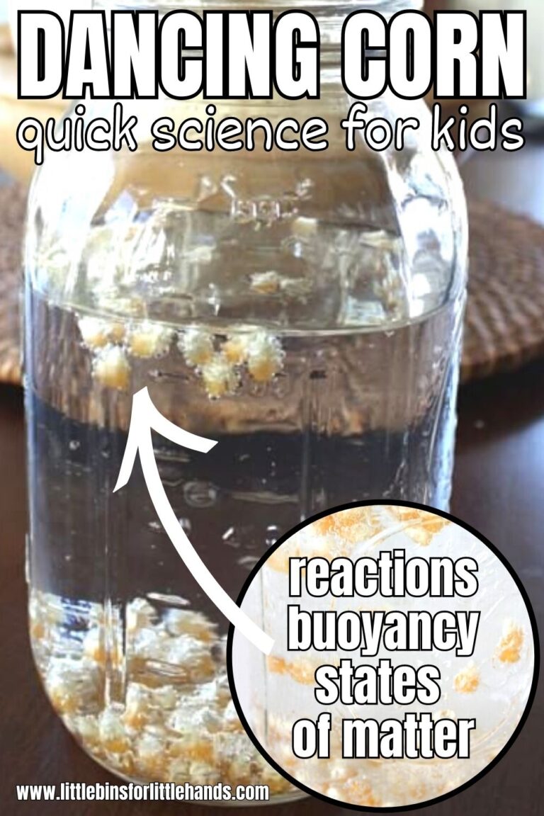 Dancing Corn Experiment - Little Bins for Little Hands