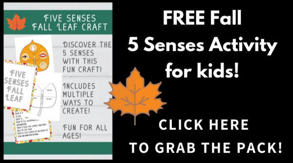 Fall 5 Senses Activities - Little Bins for Little Hands