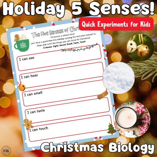 Christmas 5 Senses Activities for Kids: Easy Holiday Science