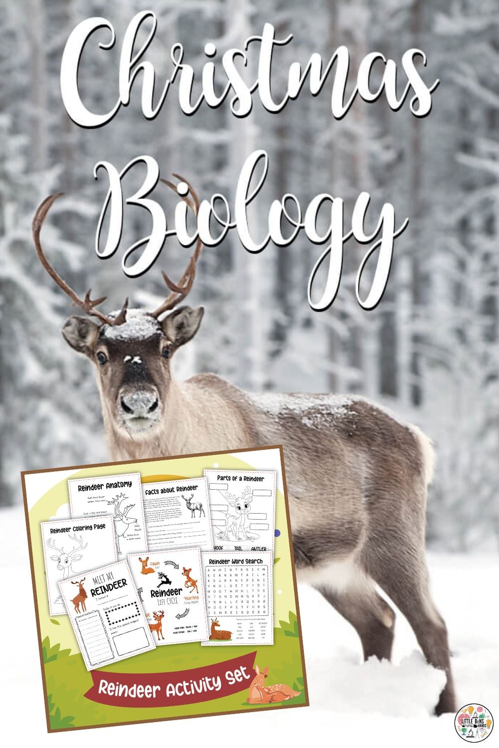Reindeer Facts for Kids (Winter Biology)