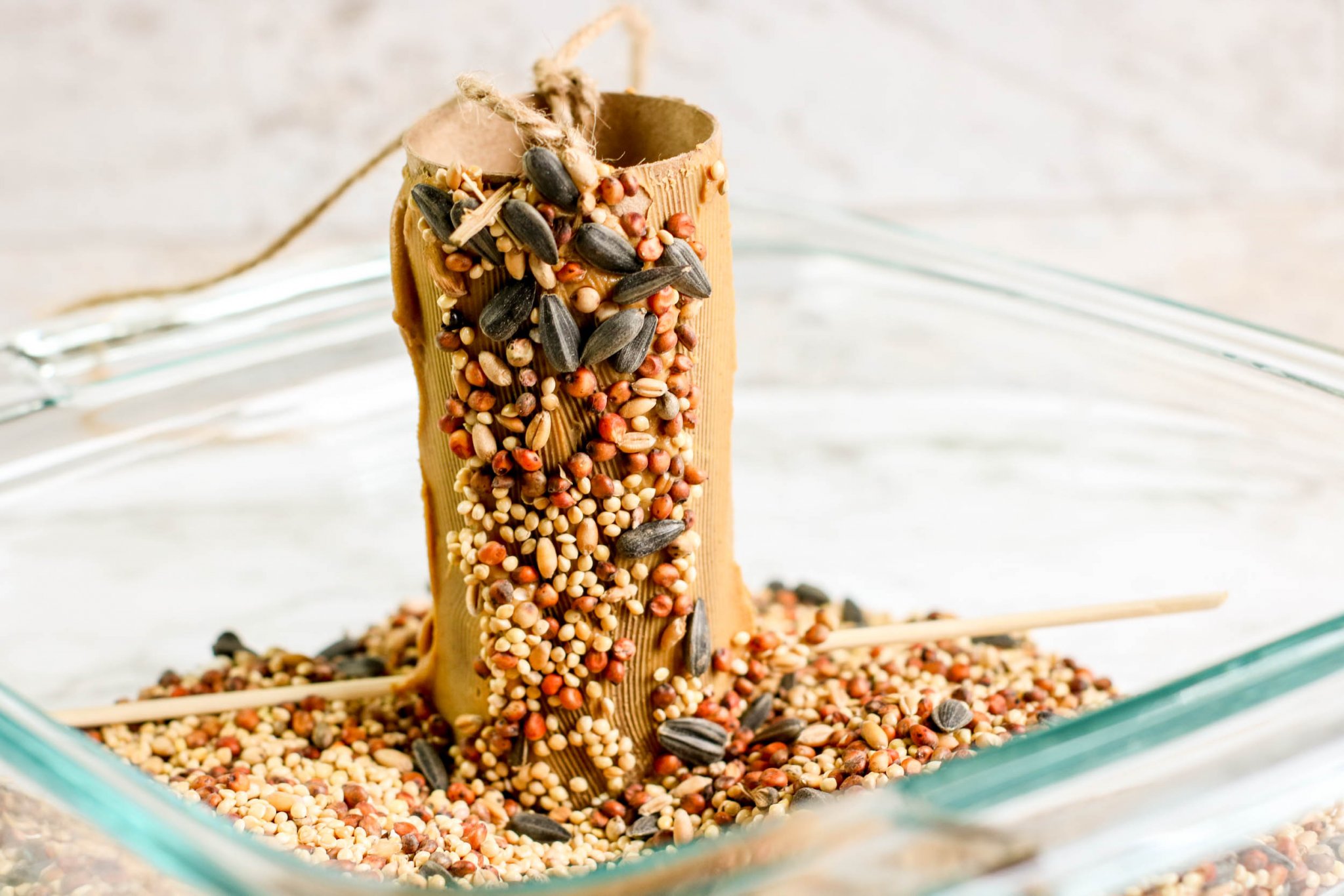 Toilet Paper Roll Bird Feeder - Little Bins for Little Hands