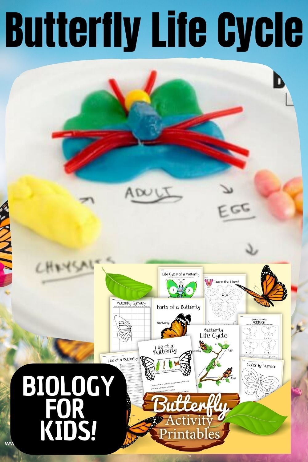 Edible Butterfly Life Cycle Activity - Little Bins for Little Hands