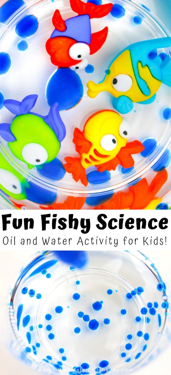 Oil and Water Experiment - Little Bins for Little Hands