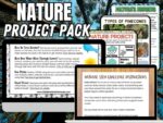 Nature Summer Camp Activities - Little Bins for Little Hands
