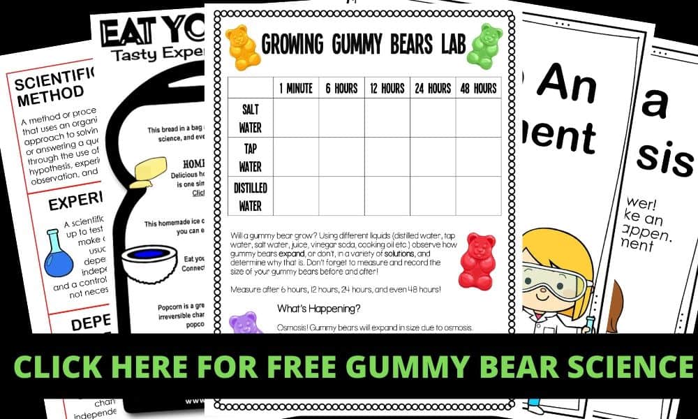 Healthy Gummy Bear Recipe - Little Bins for Little Hands
