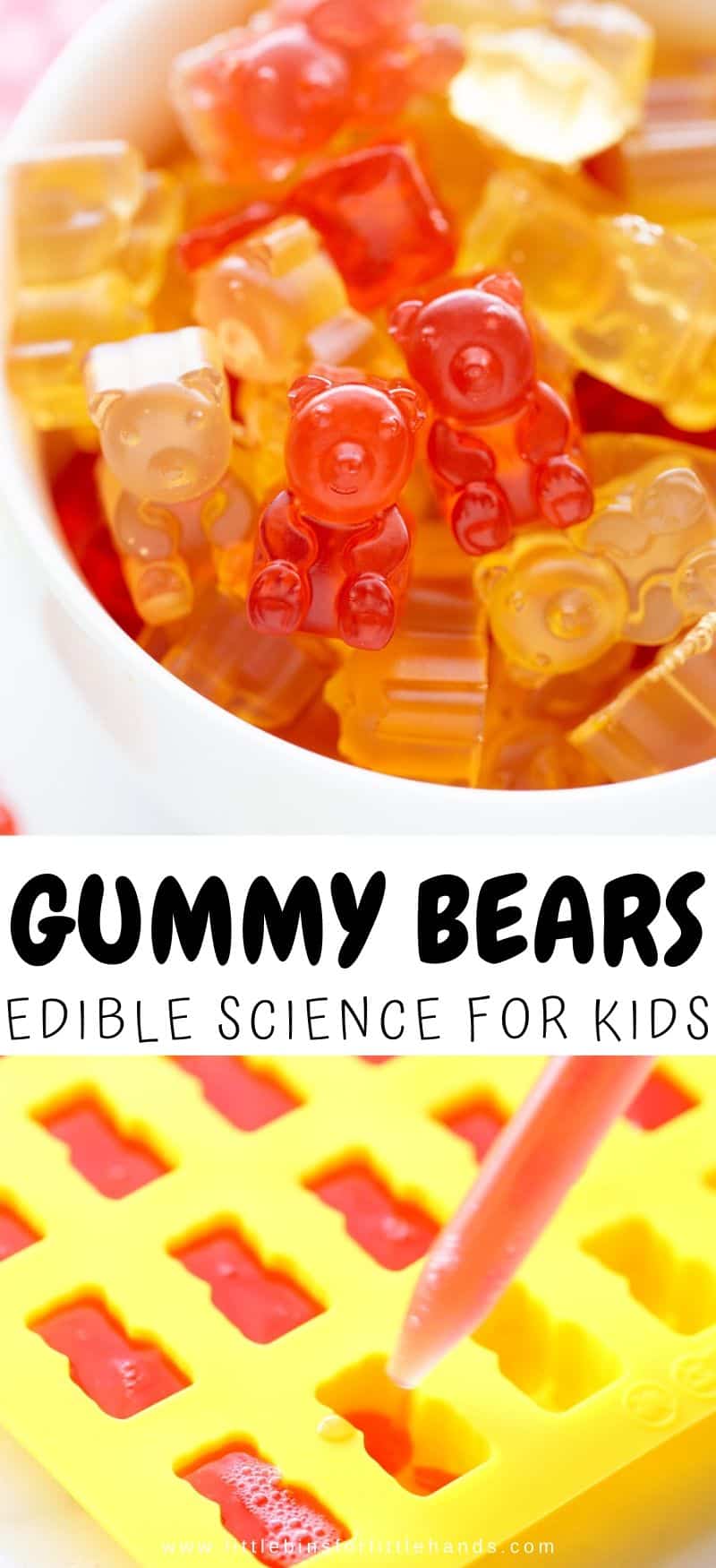 Healthy Gummy Bear Recipe - Little Bins for Little Hands