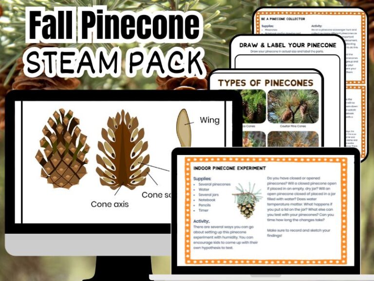 Pine Cone Weather Station Experiment
