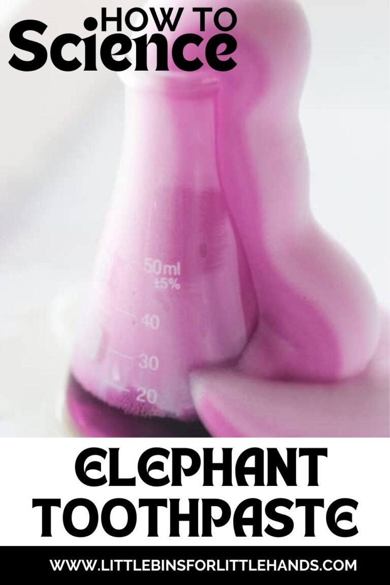 Elephant Toothpaste Experiment