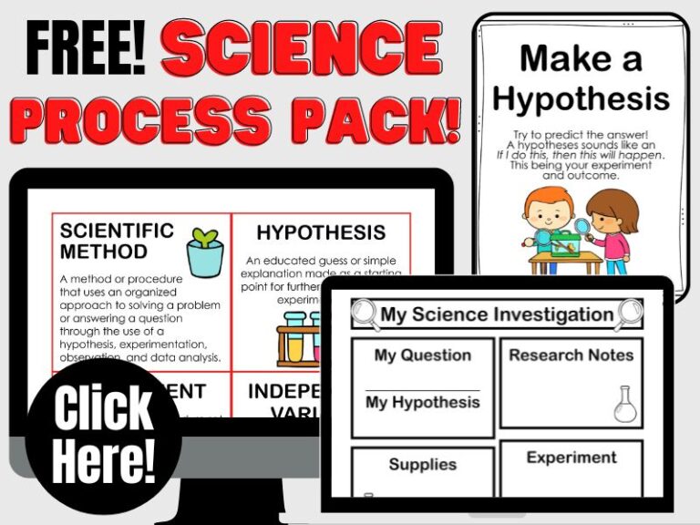 What is Observation in Science? - Little Bins for Little Hands