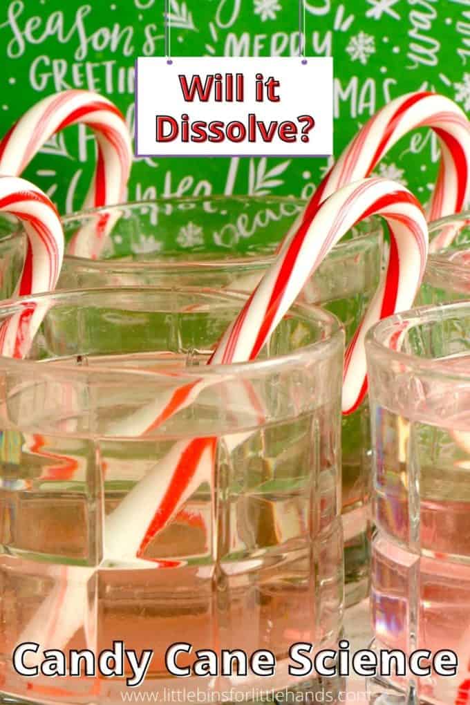 Dissolving Candy Cane Experiment - Little Bins for Little Hands
