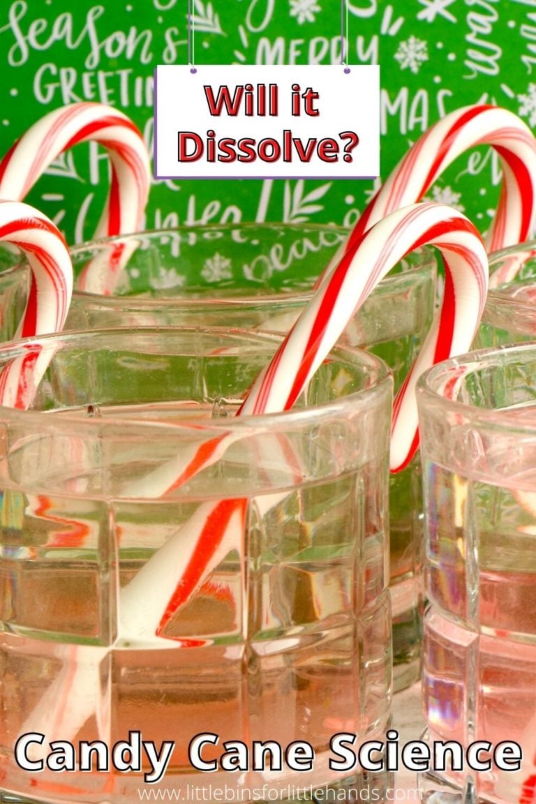 Dissolving Candy Cane Experiment - Little Bins for Little Hands