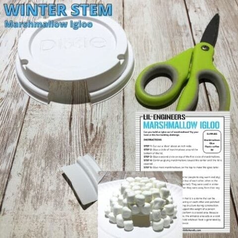 Marshmallow Igloo - Little Bins for Little Hands