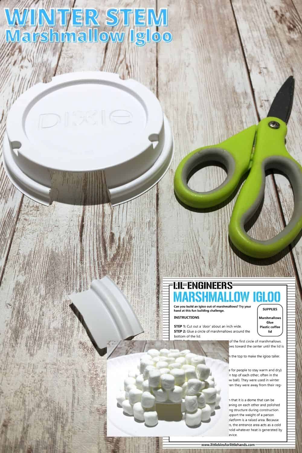 Build a Marshmallow Igloo - Little Bins for Little Hands