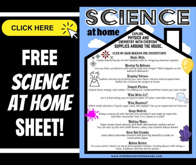 How To Set Up A Home Science Lab - Little Bins for Little Hands