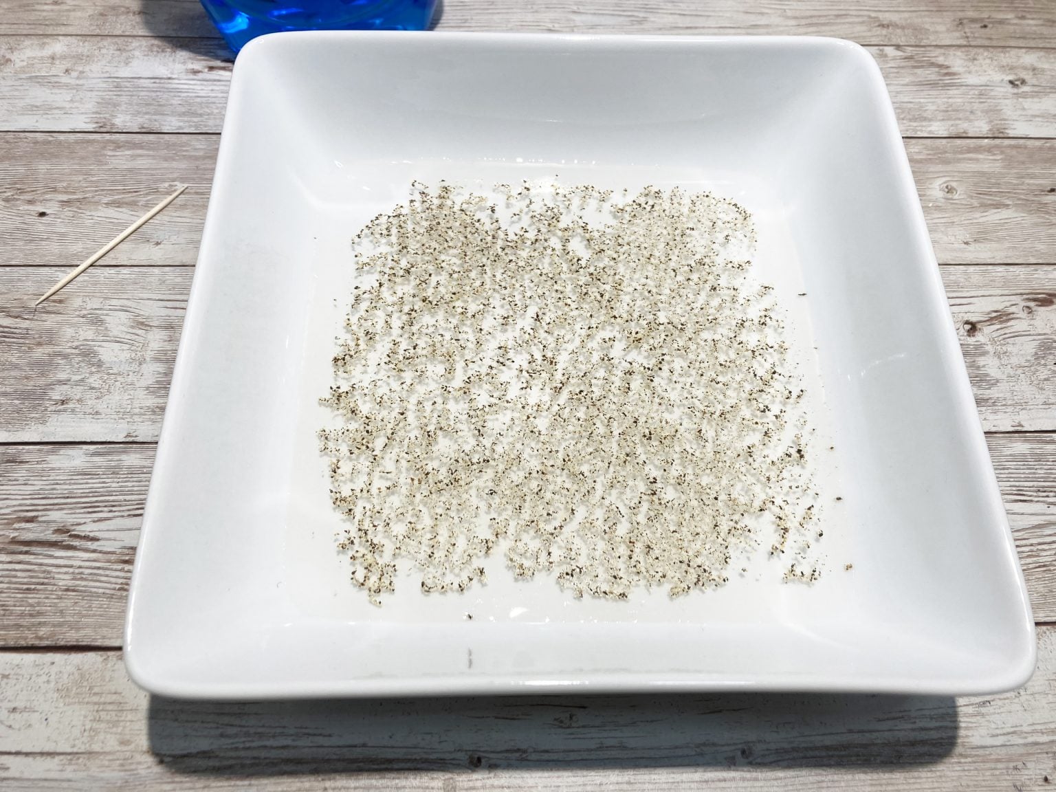 Magic Pepper and Soap Experiment - Little Bins for Little Hands
