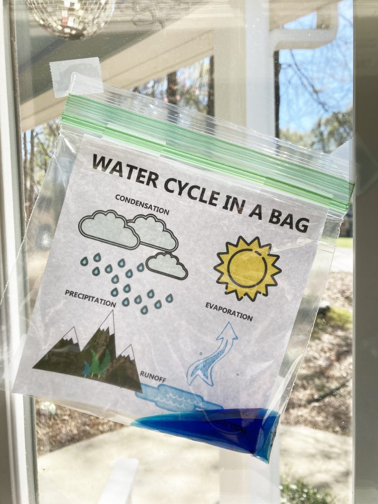 Water Cycle In A Bag - Little Bins for Little Hands