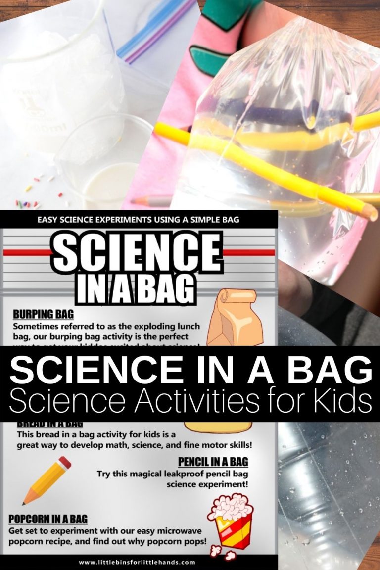 Fun Science In A Bag Activities - Little Bins for Little Hands