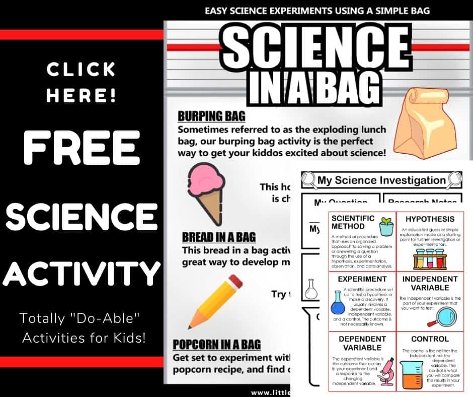 Fun Science In A Bag Activities - Little Bins for Little Hands