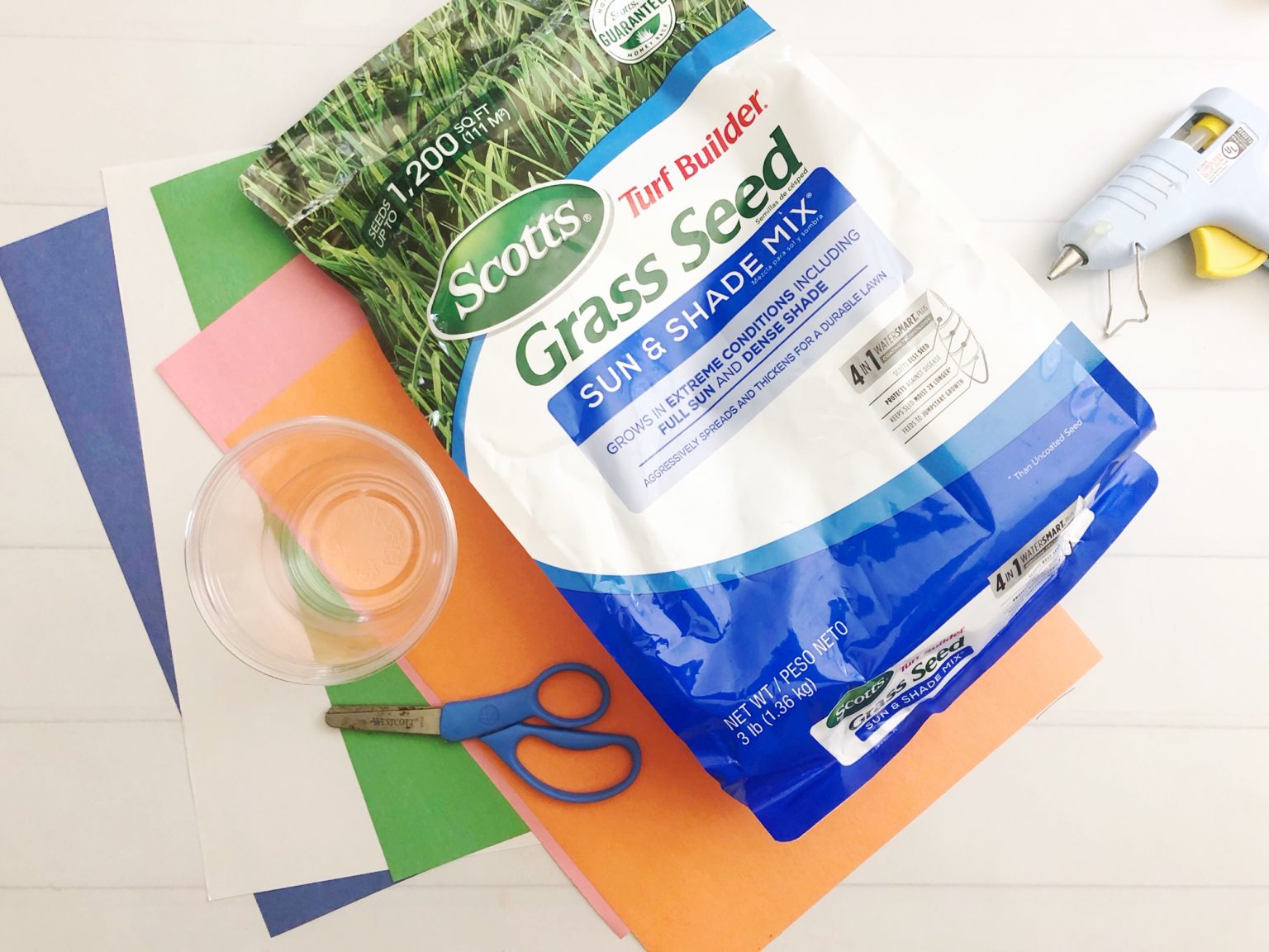 Growing Grass In A Cup - Little Bins for Little Hands