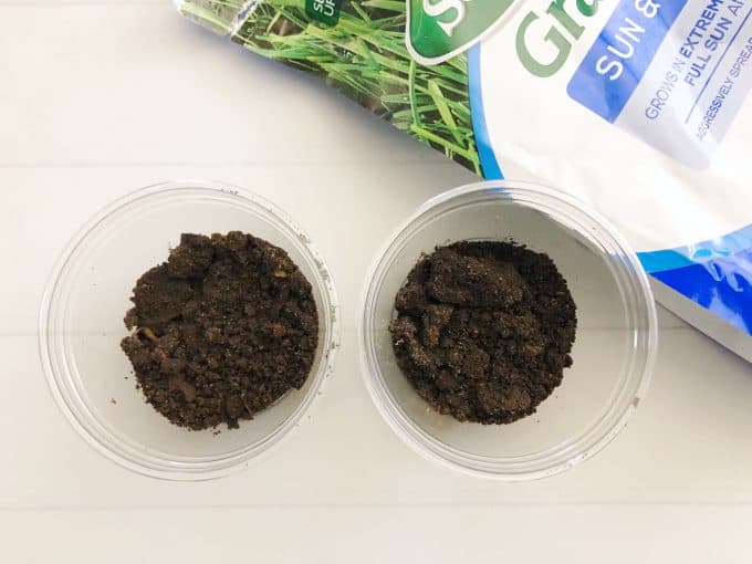 Growing Grass In A Cup - Little Bins for Little Hands