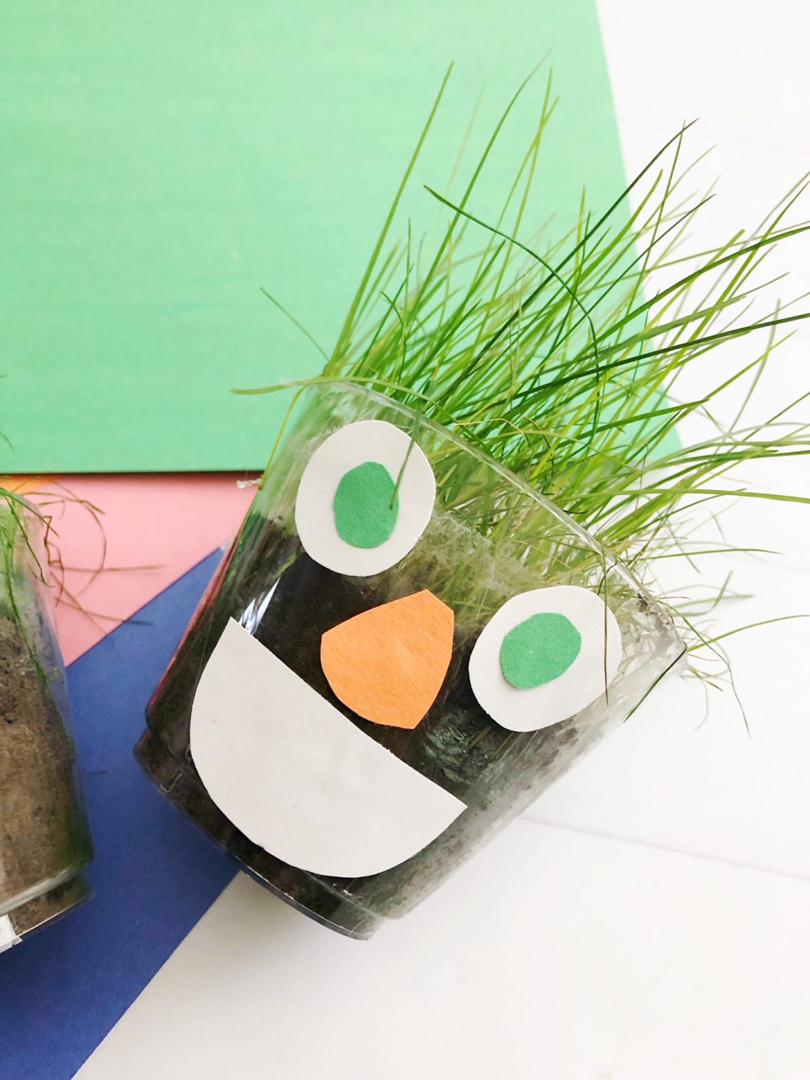 Growing Grass In A Cup - Little Bins for Little Hands