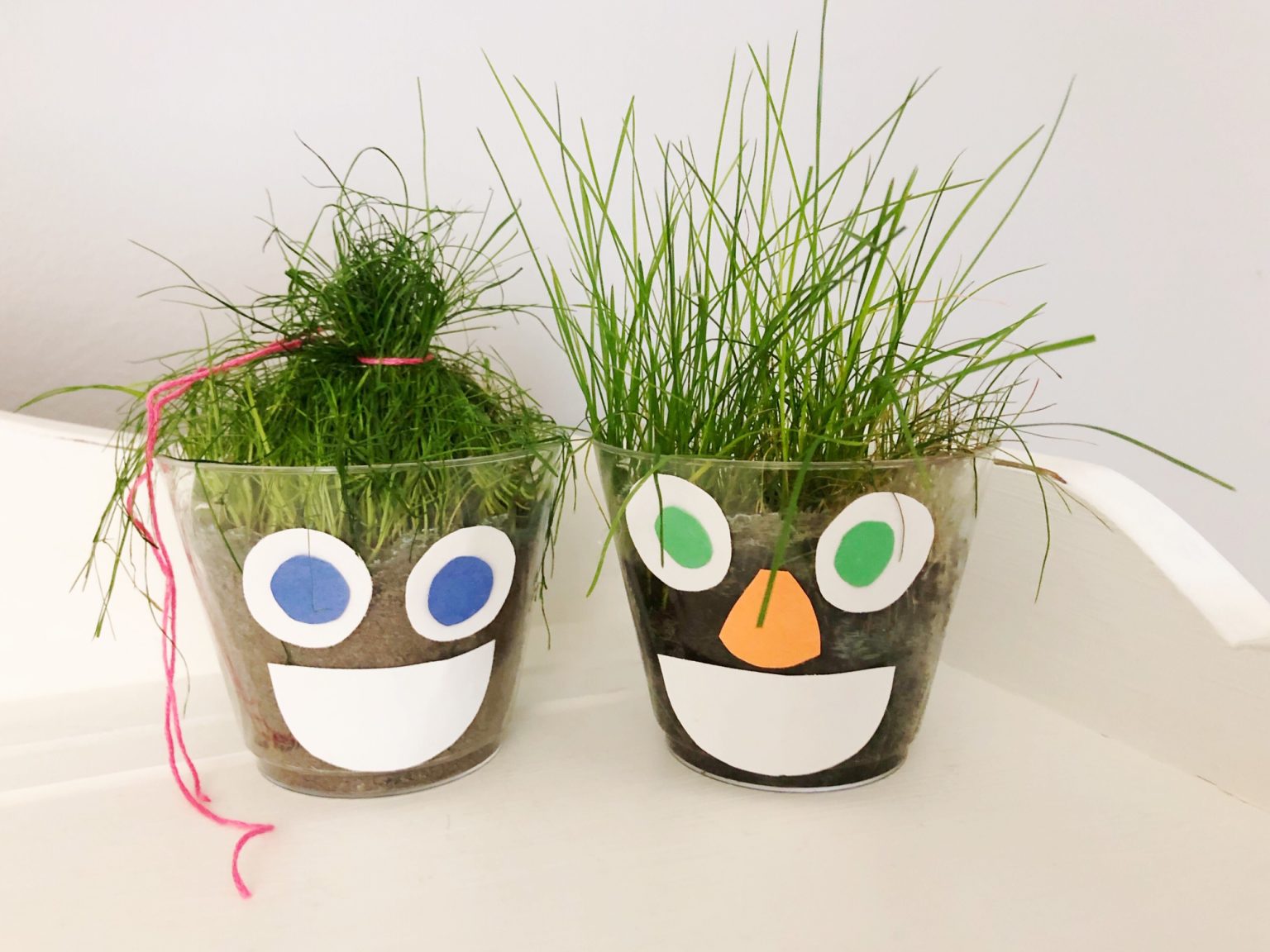 Growing Grass In A Cup - Little Bins for Little Hands