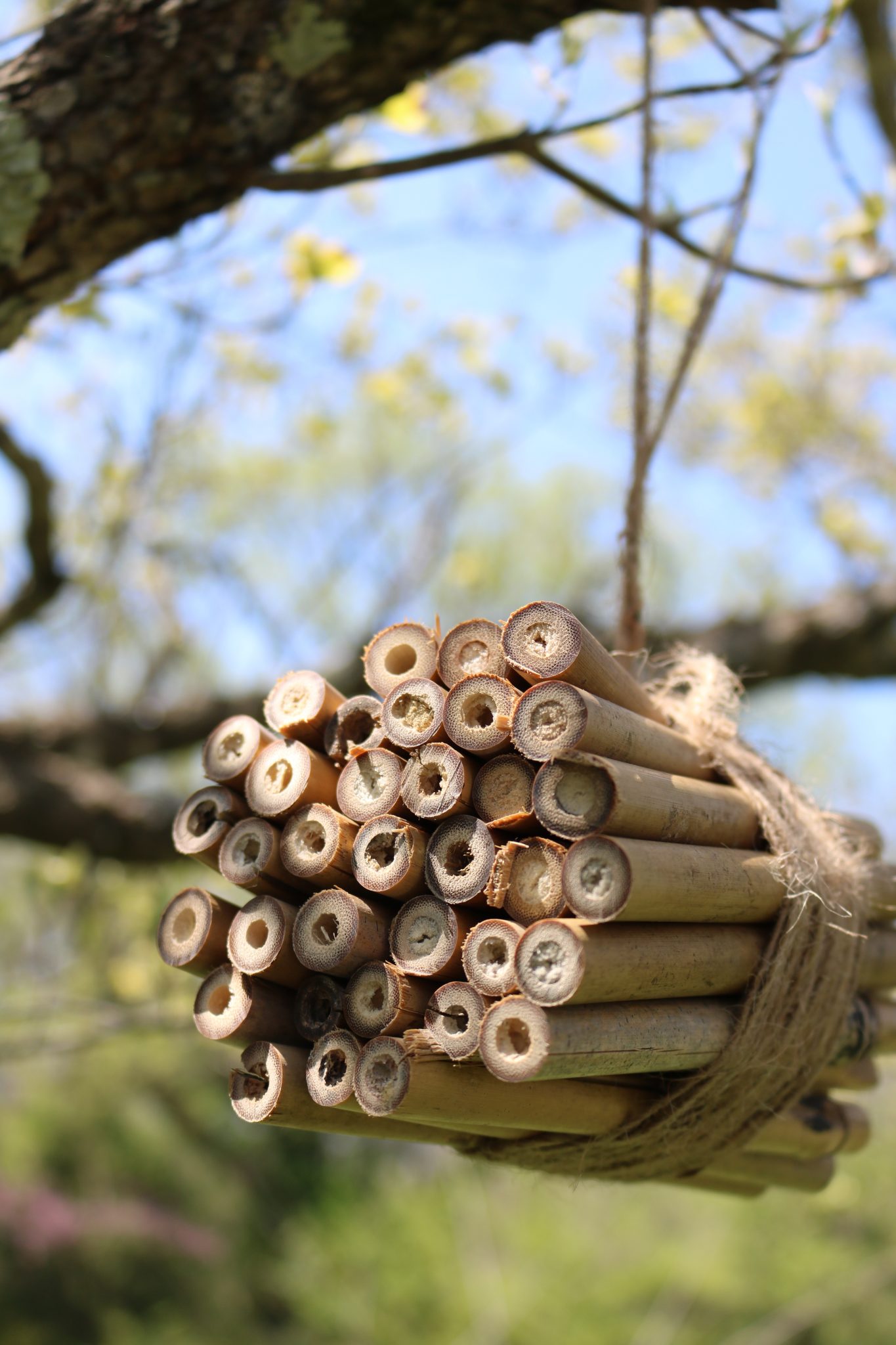 How to Make a Bee House for Kids | Easy Pollinator STEM Activity