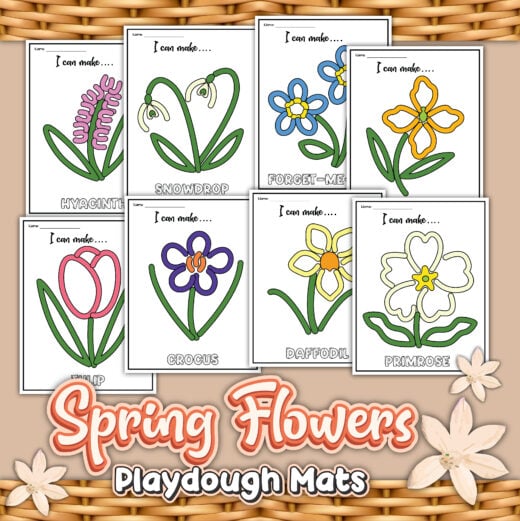 Plant Life Cycle Color By Number - Little Bins for Little Hands