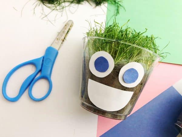 Growing Grass In A Cup - Little Bins for Little Hands