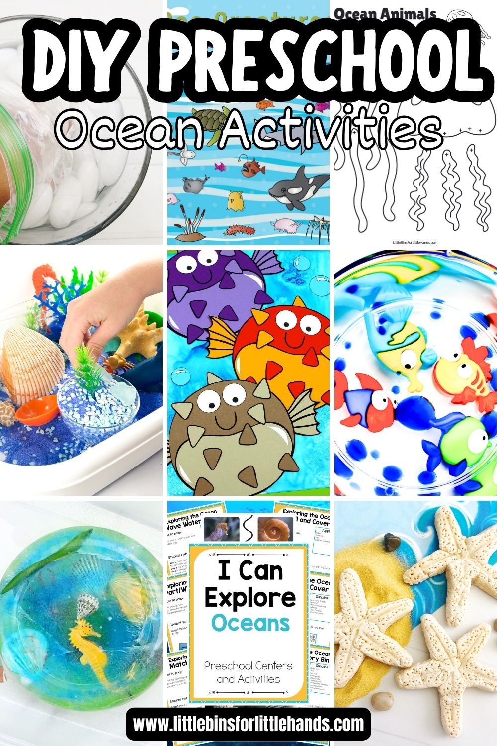23+ Fun Ocean Activities for Preschoolers