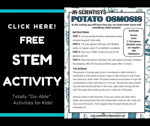 Potato Osmosis Lab | Little Bins for Little Hands