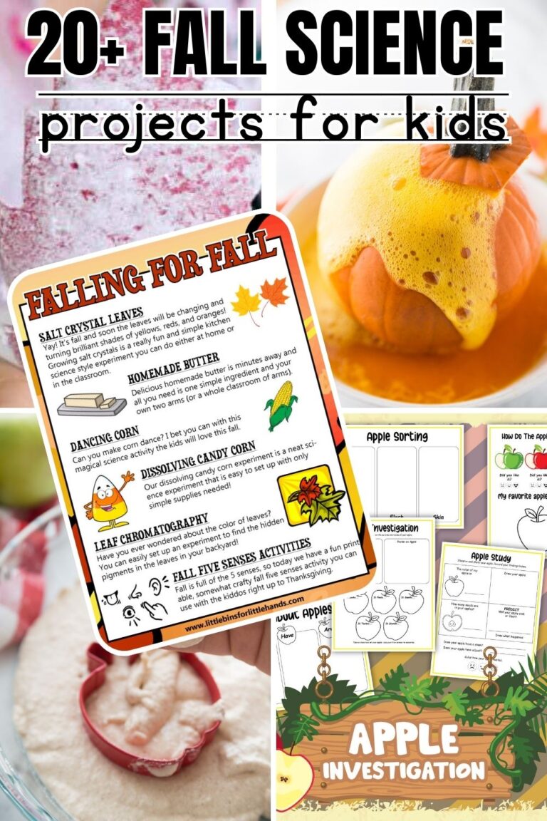 20 Awesome Fall Science Experiments - Little Bins for Little Hands