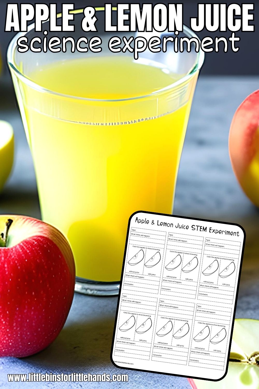 Apple Browning Experiment - Little Bins for Little Hands