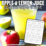 Apple STEM Challenge Cards - Little Bins for Little Hands