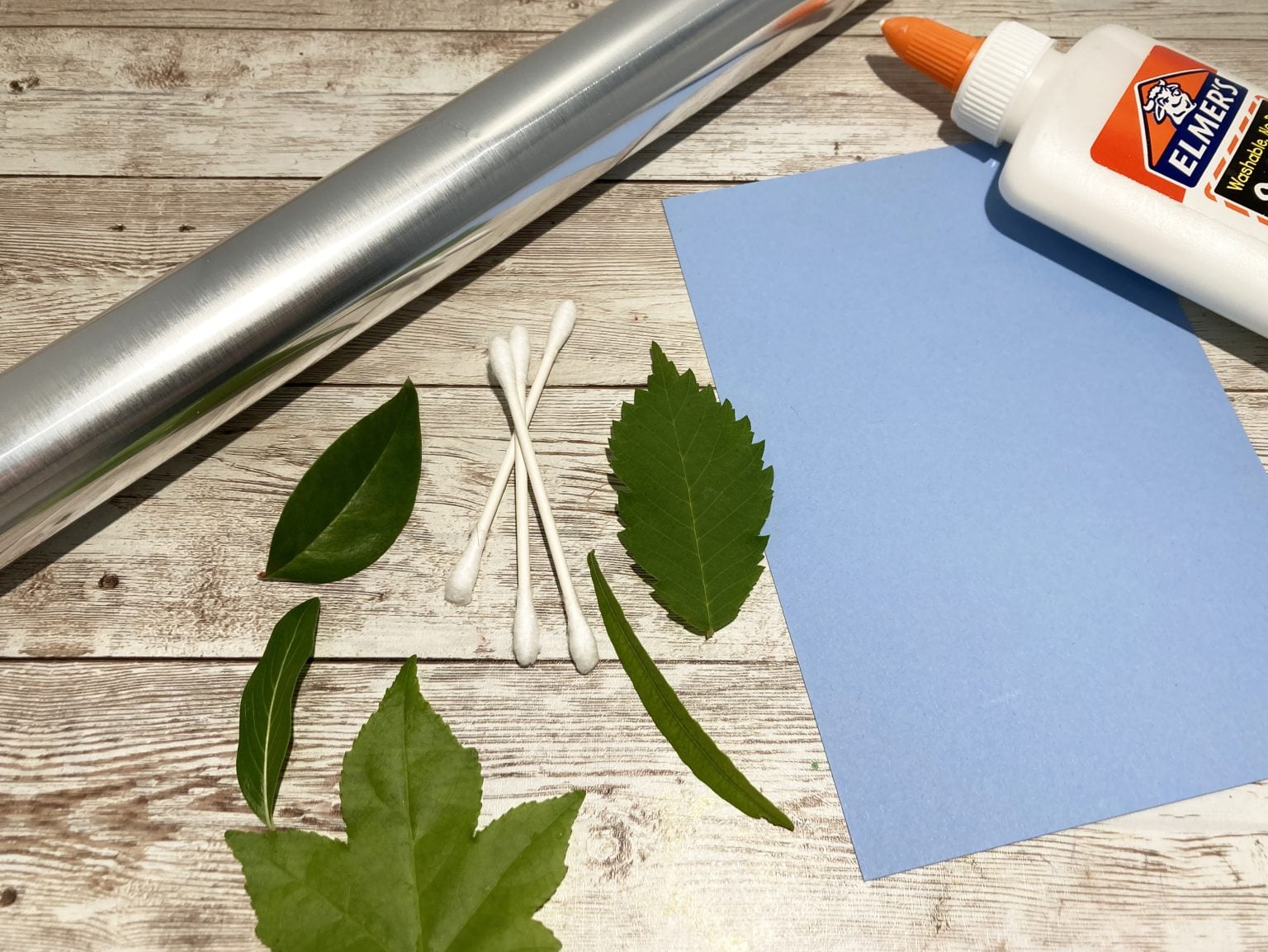 Leaf Rubbing Activity - Little Bins for Little Hands