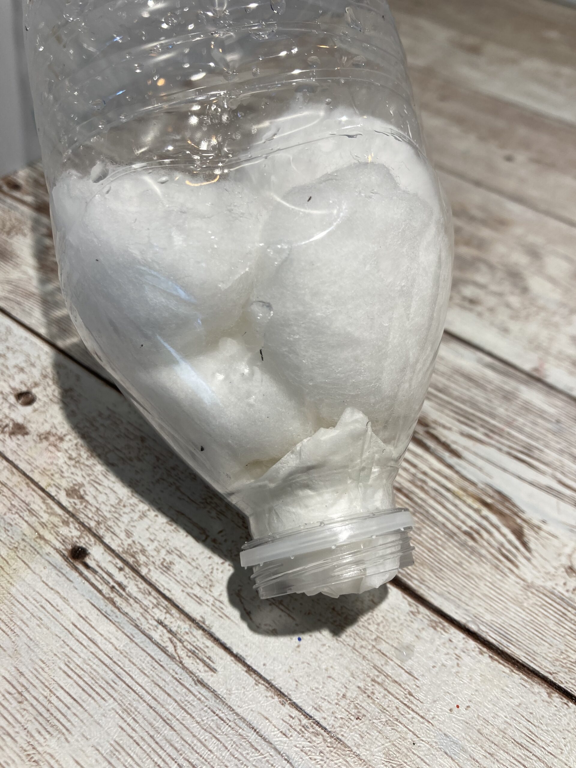Water Filter Science Project (DIY Water Filtration System)