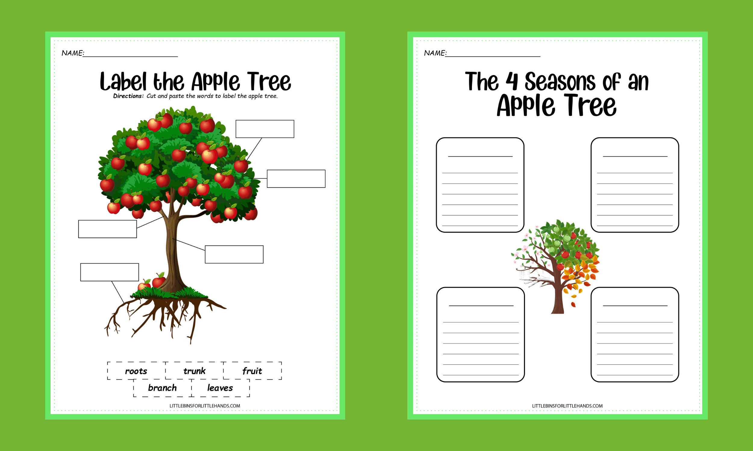 Apple Trees Seasons Activities
