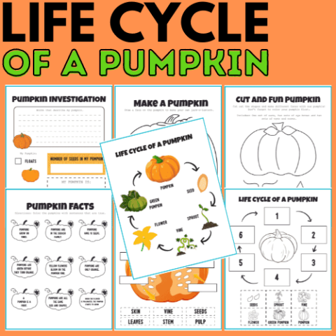 Pumpkin STEM Activities For Fall - Little Bins for Little Hands