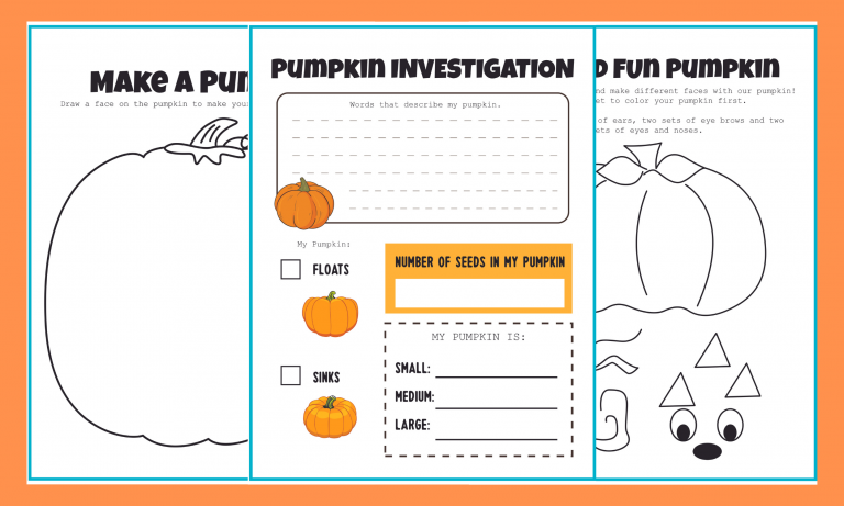 Life Cycle Of A Pumpkin - Little Bins for Little Hands