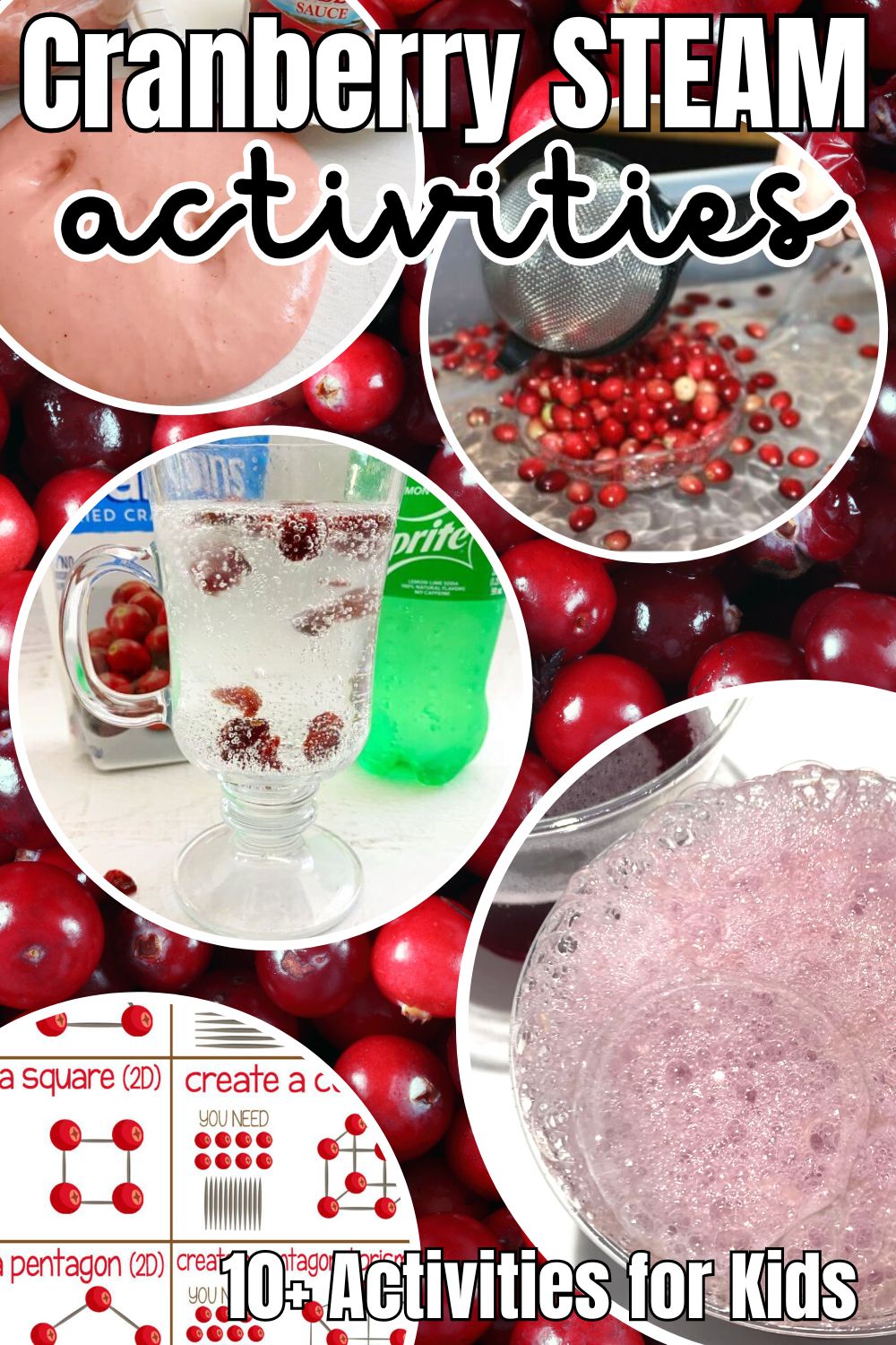 Cranberry Thanksgiving Activities For Kids - Little Bins for Little Hands